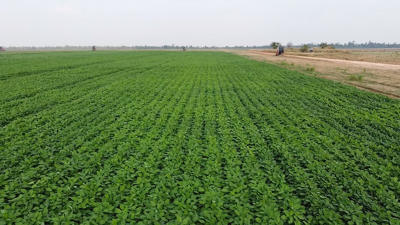 Mega Farm Cambodia - เจริญโภคภัณฑ์โปรดิ๊วส