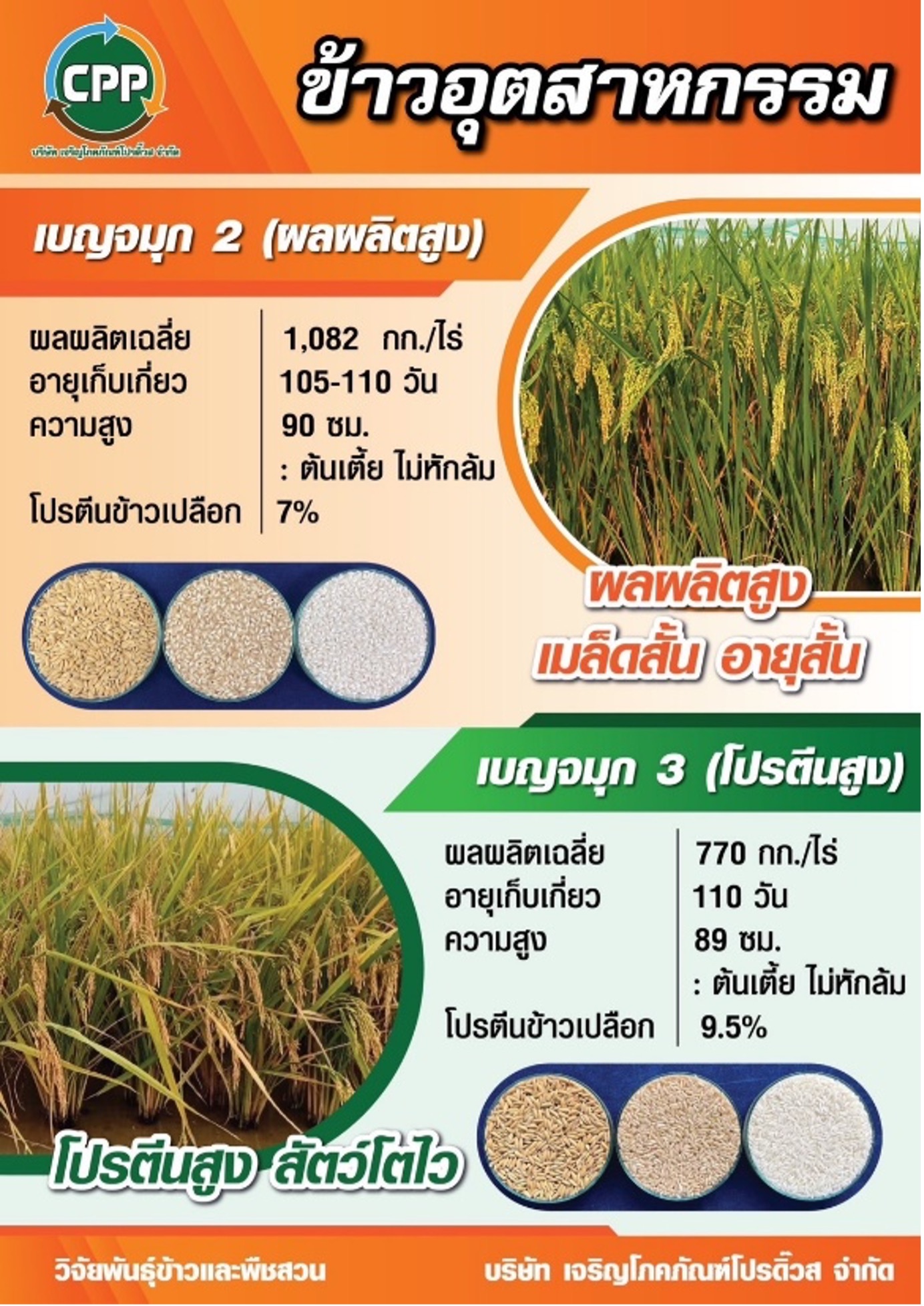 ข้าวอุตสาหกรรม - เจริญโภคภัณฑ์โปรดิ๊วส